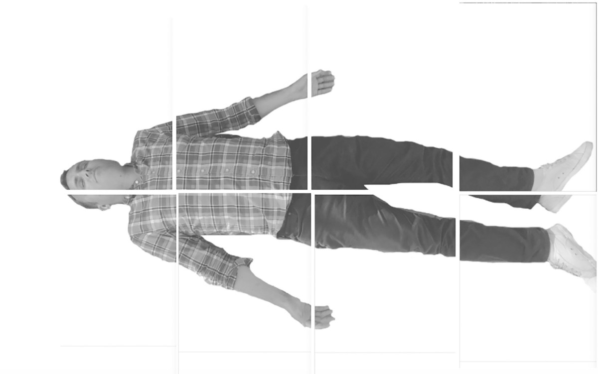 Dissecting the Author: A Collaboration – Translating Vitalities